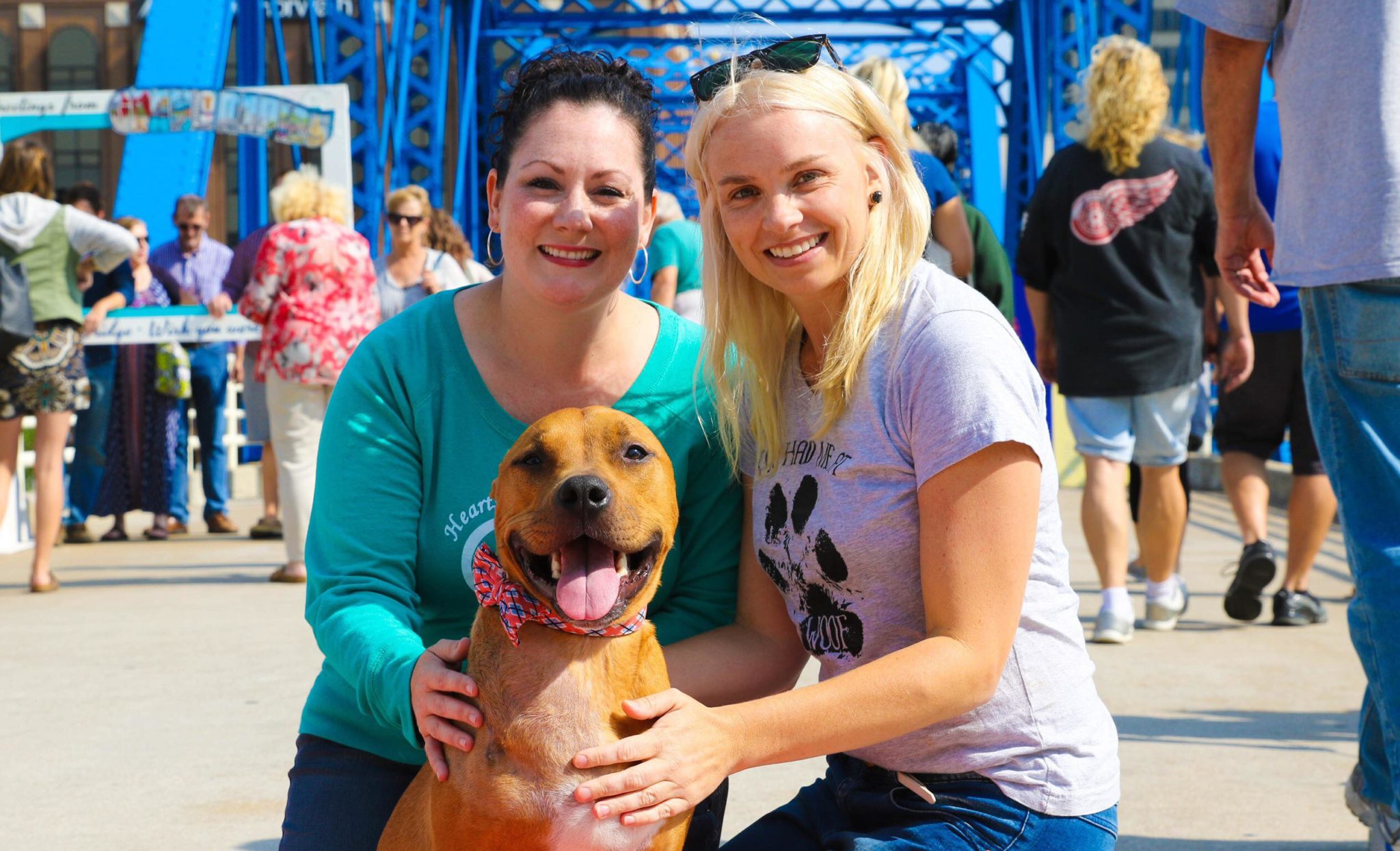 Hospice - Hearts of Hope Dog Rescue