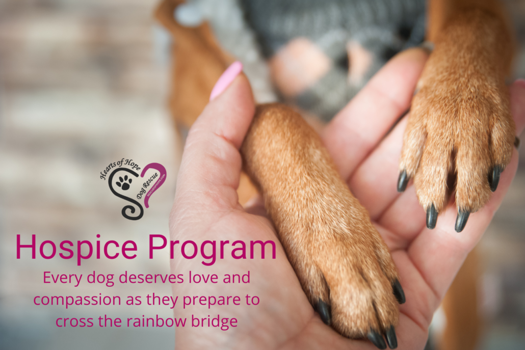 Hospice - Hearts of Hope Dog Rescue